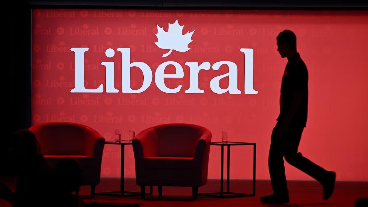 Liberal MP backtracks after voicing support for resolution critics call ...