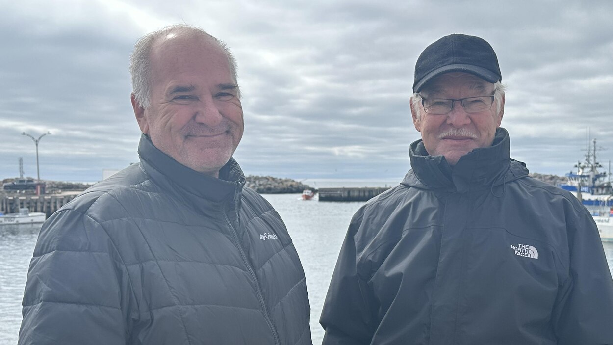 Le défi de gérer les ports de petits bateaux | Radio-Canada