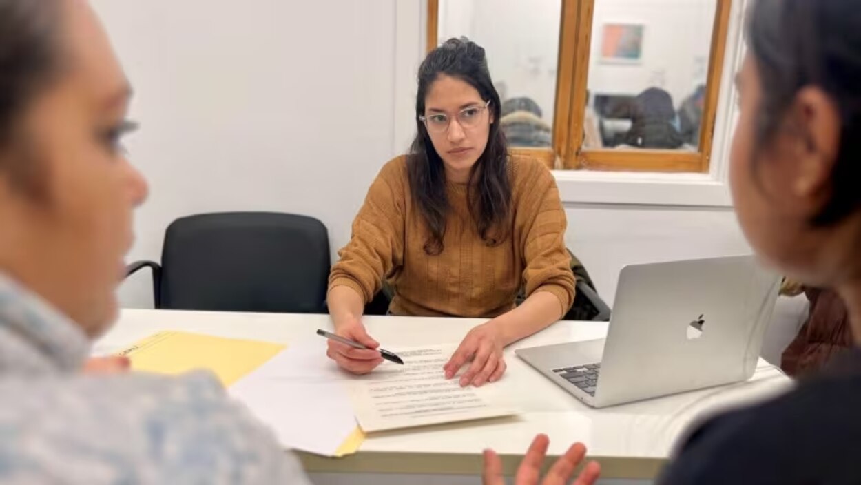 Campaign to crack down on fake immigration lawyers aims to protect ...