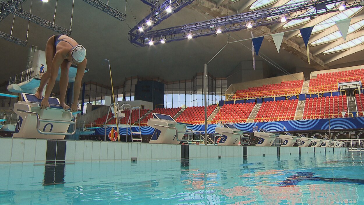 Natation Canada engage un nouvel entraîneur à Montréal | Radio-Canada