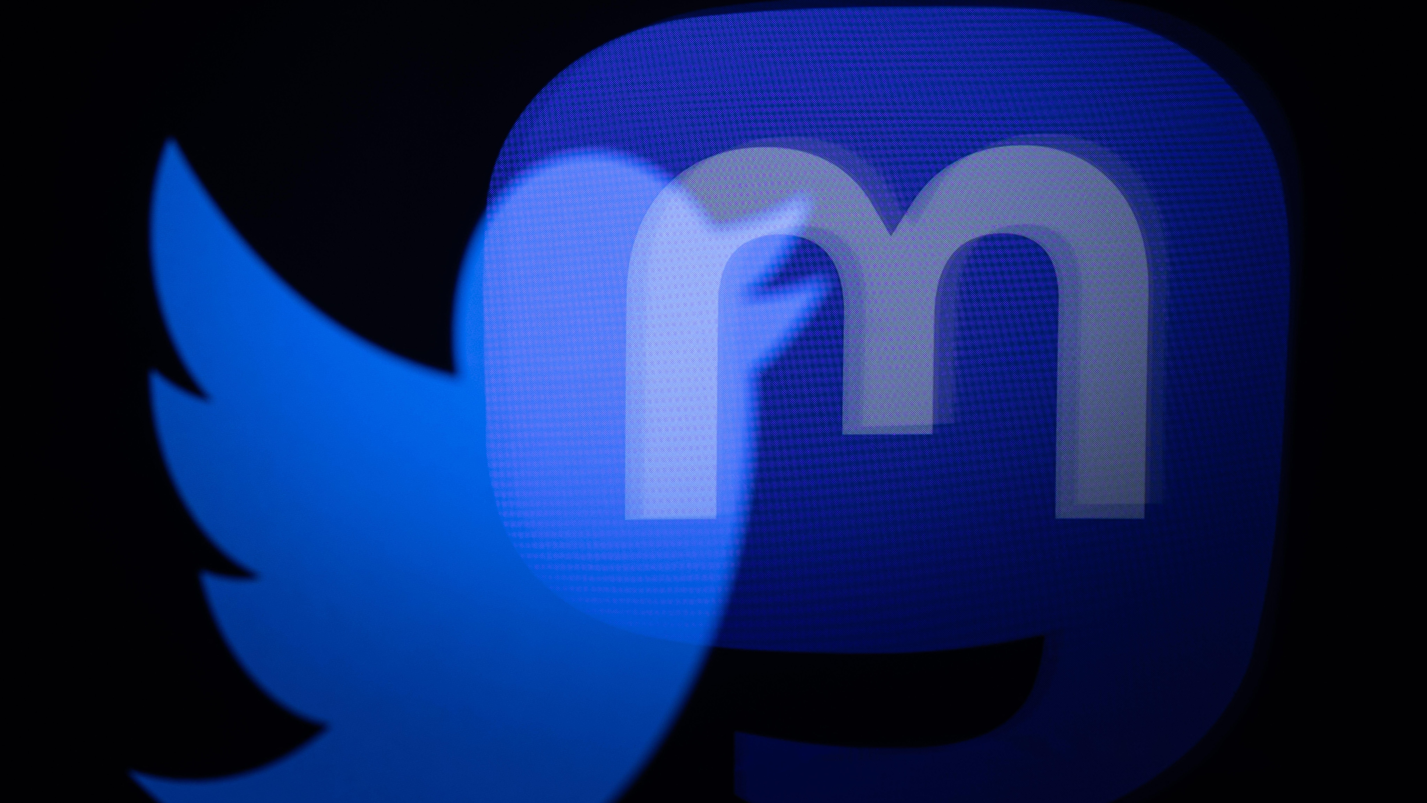 Migration de Twitter vers Mastodon suite au rachat par Elon Musk ...