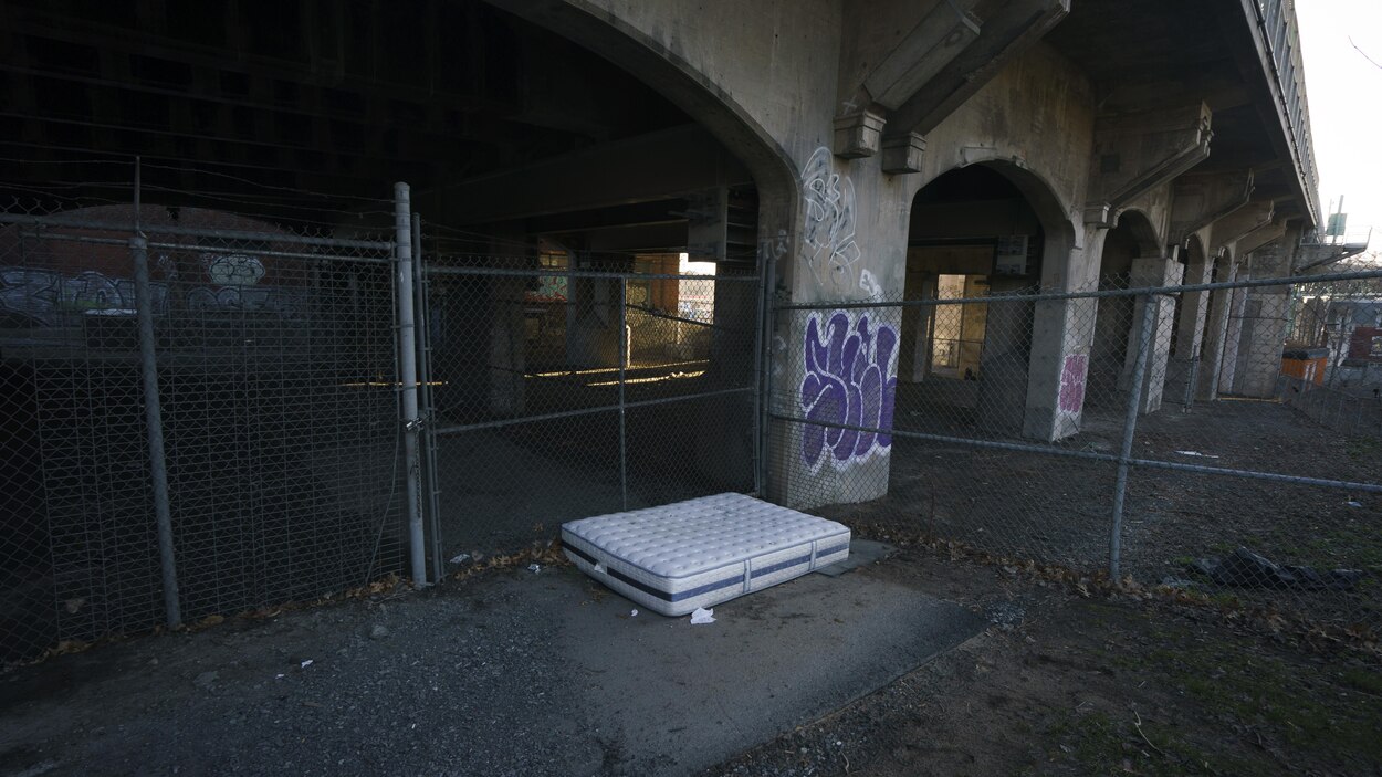 L’itinérance menace les migrants du chemin Roxham | Radio-Canada