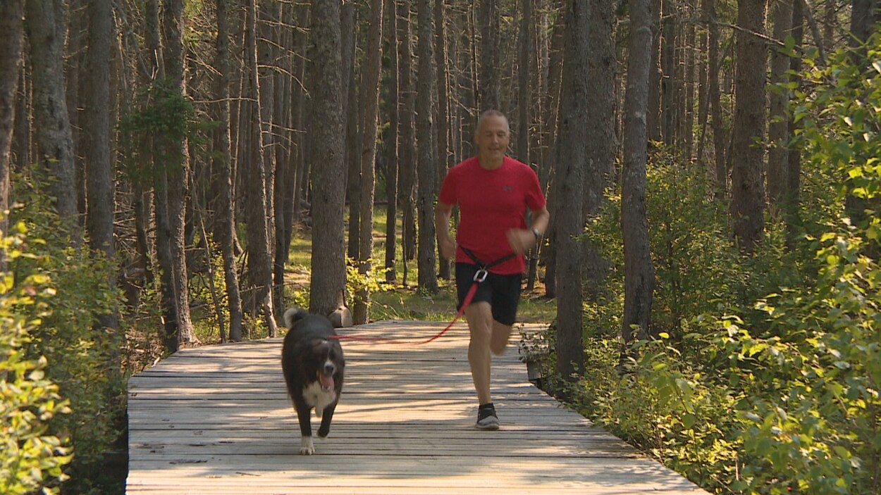 D’architecte à entraîneur de course, le virage à 180 degrés de Mathieu ...
