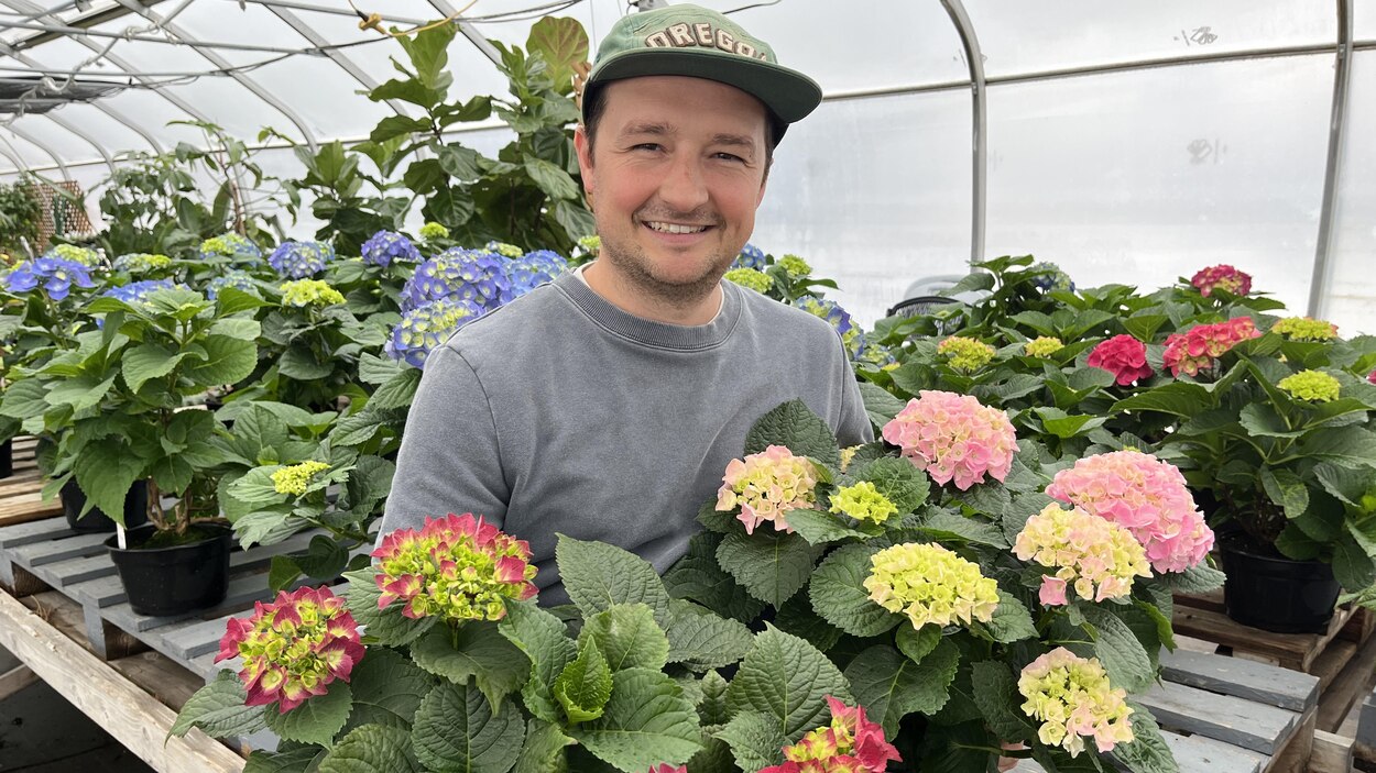 Des fleurs locales en plein hiver à la Pépinière Boréalis | Radio-Canada