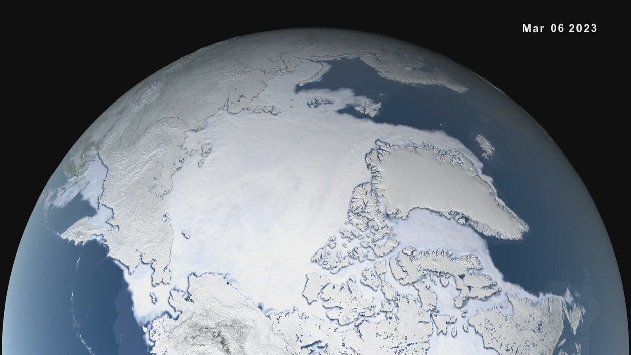 Animation de la formation de la banquise en Arctique | Radio-Canada