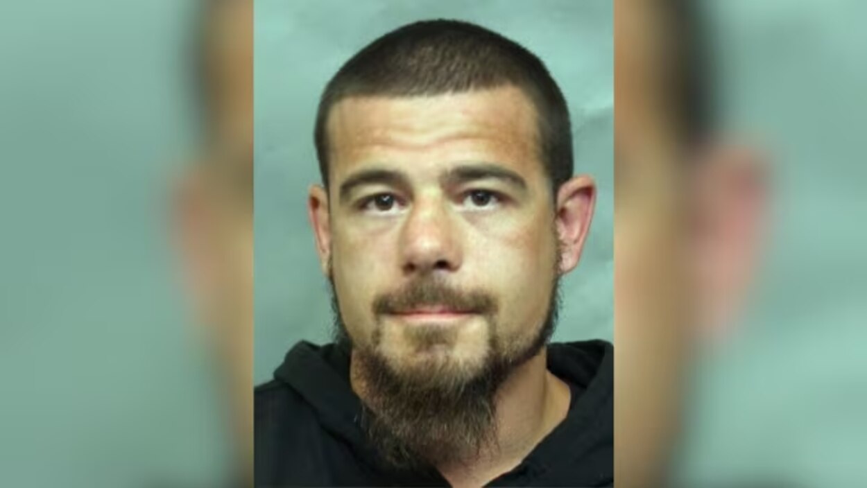 Charlottetown police capture Toronto man at top of national most-wanted ...