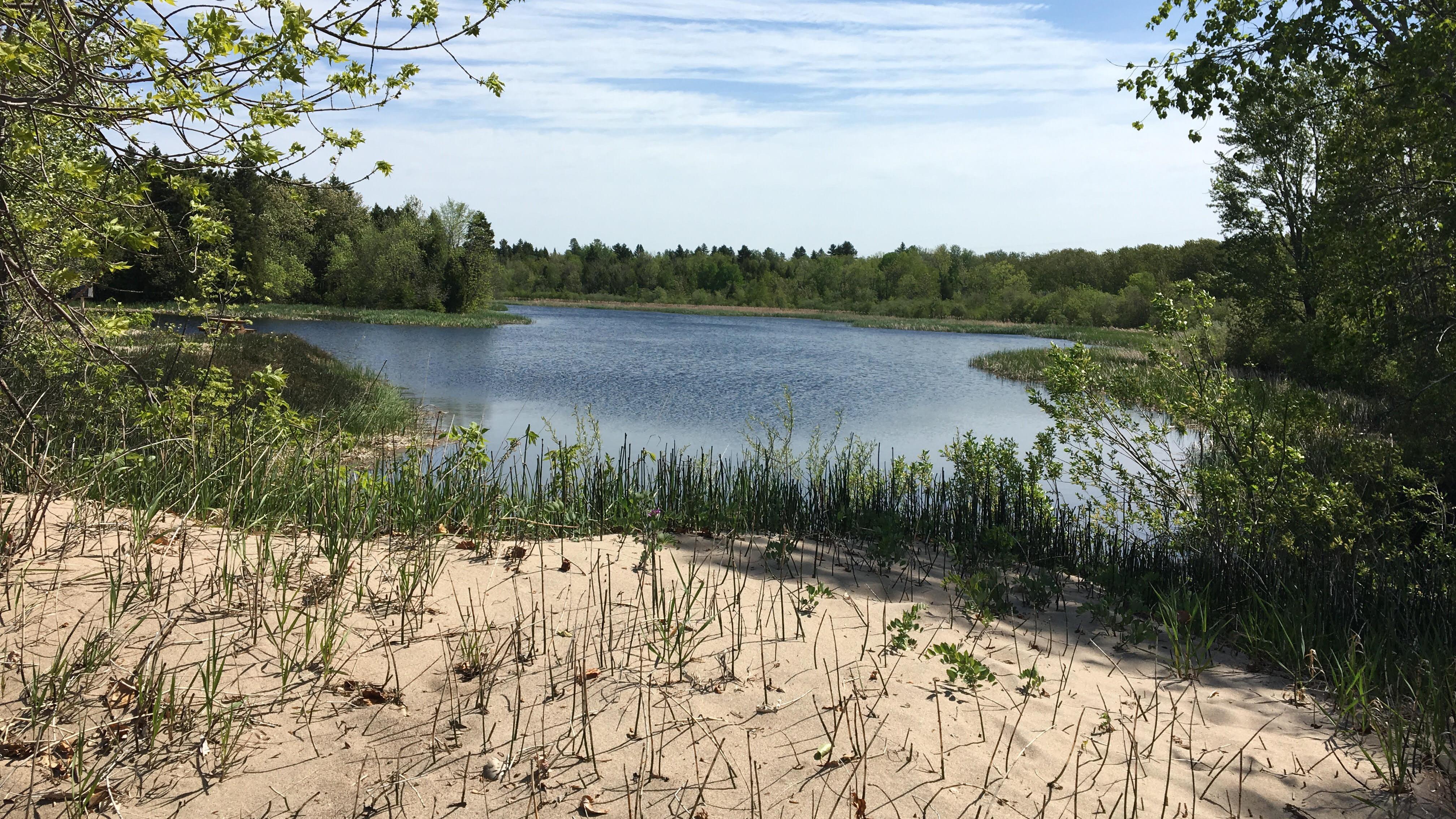 L'impact de la baisse des compensations pour la construction en milieux ...