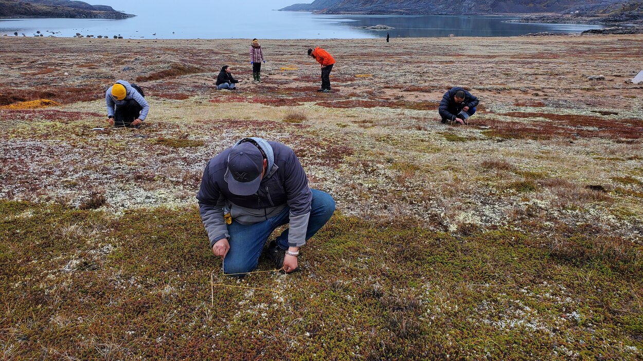 Chasseurs et chercheurs : le savoir inuit s’attaque aux changements ...