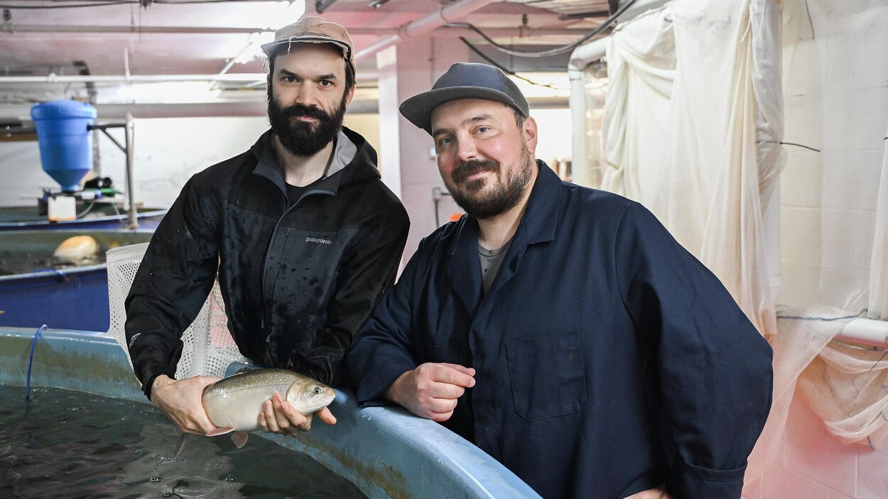 Opercule : une ferme d’aquaculture en plein cœur de Montréal | Radio-Canada