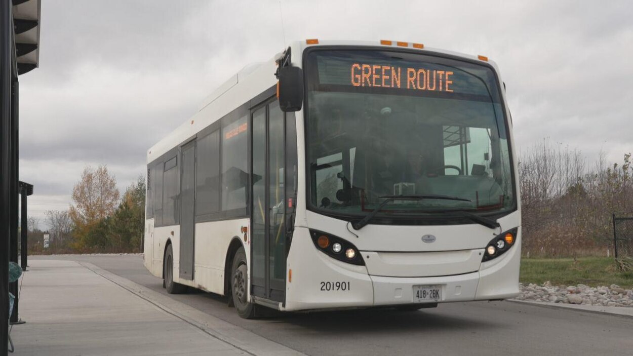 Free transit actually is a thing, and you might be surprised where ...