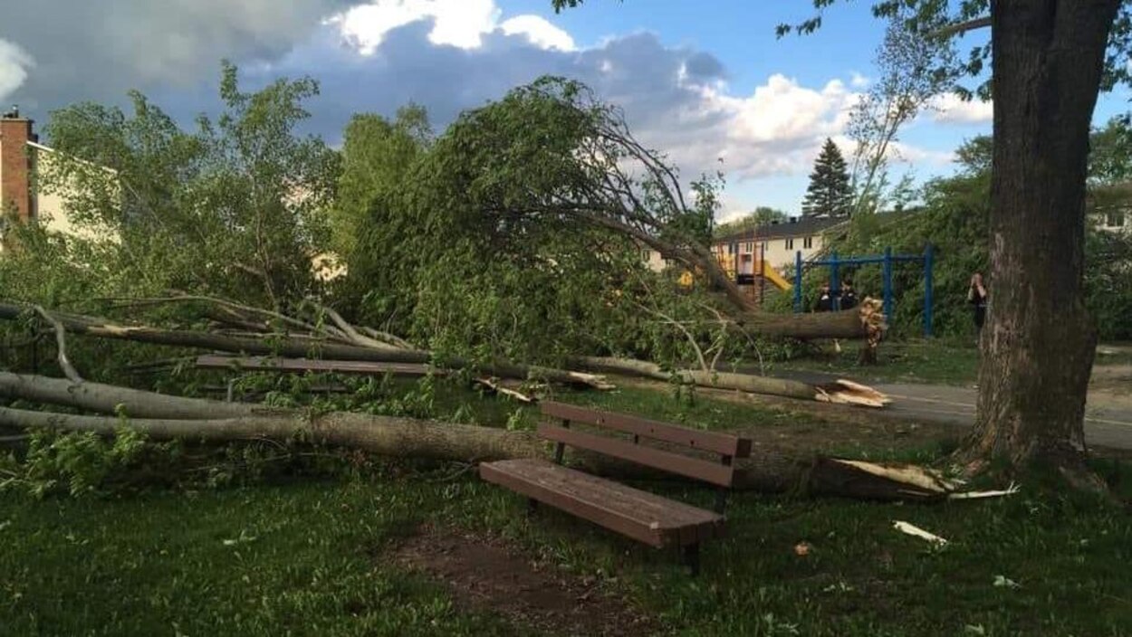 EN IMAGES - Une tornade frappe l'est d'Ottawa | Radio-Canada