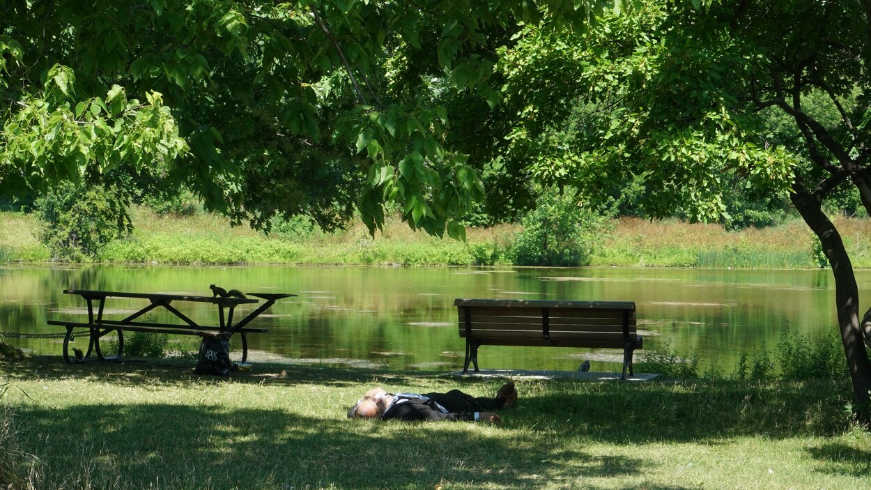 Pourquoi le parc Angrignon a- t-il été laissé à l'abandon? | Radio-Canada