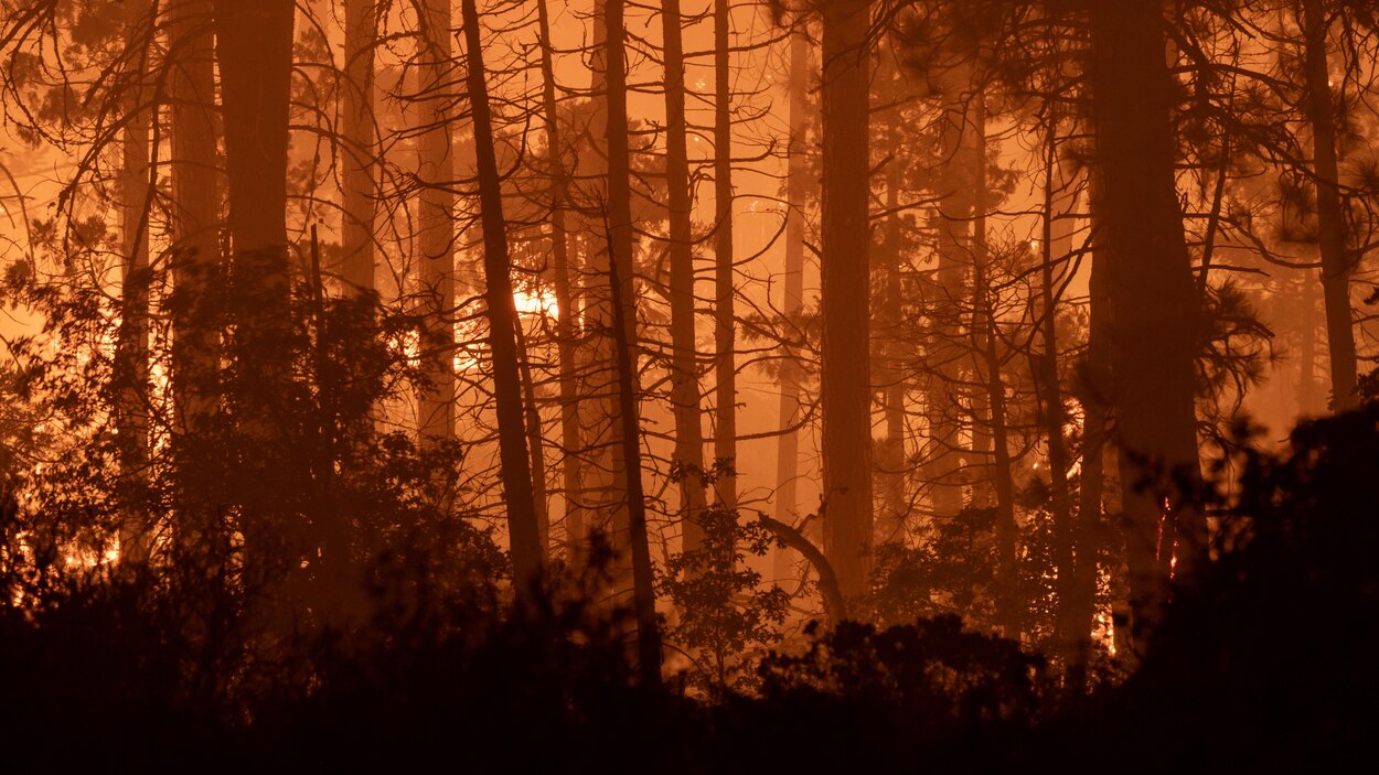 L’un des plus gros feux jamais enregistrés en Californie continue de se ...