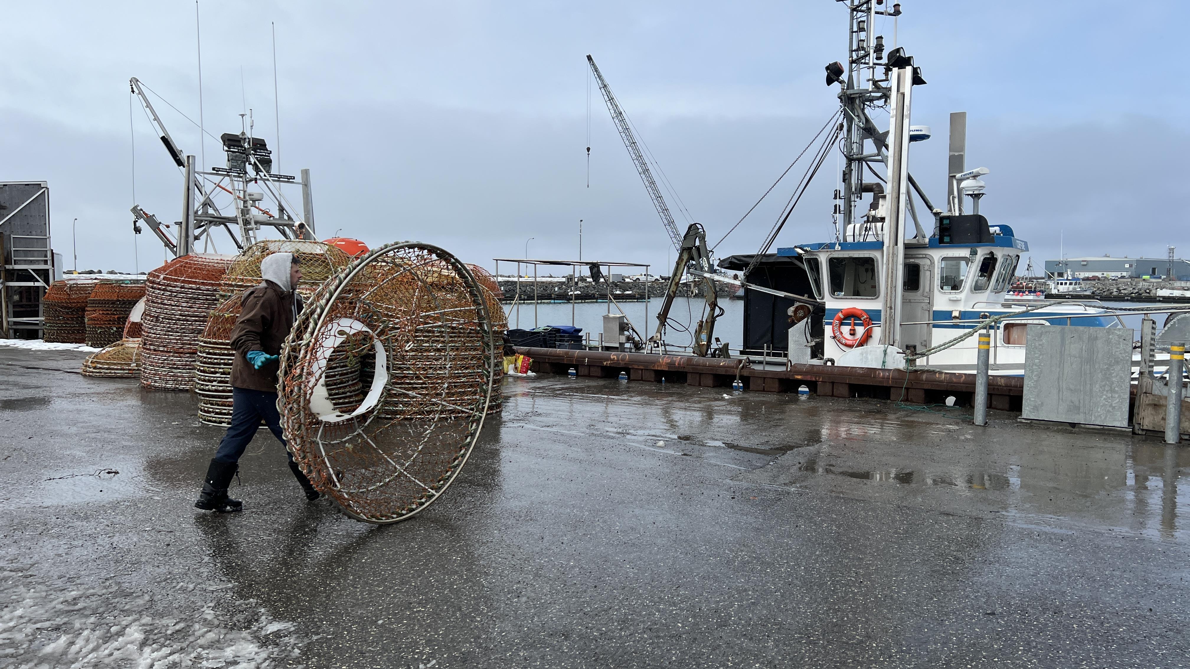 La pêche au crabe est lancée dans l’Est-du-Québec