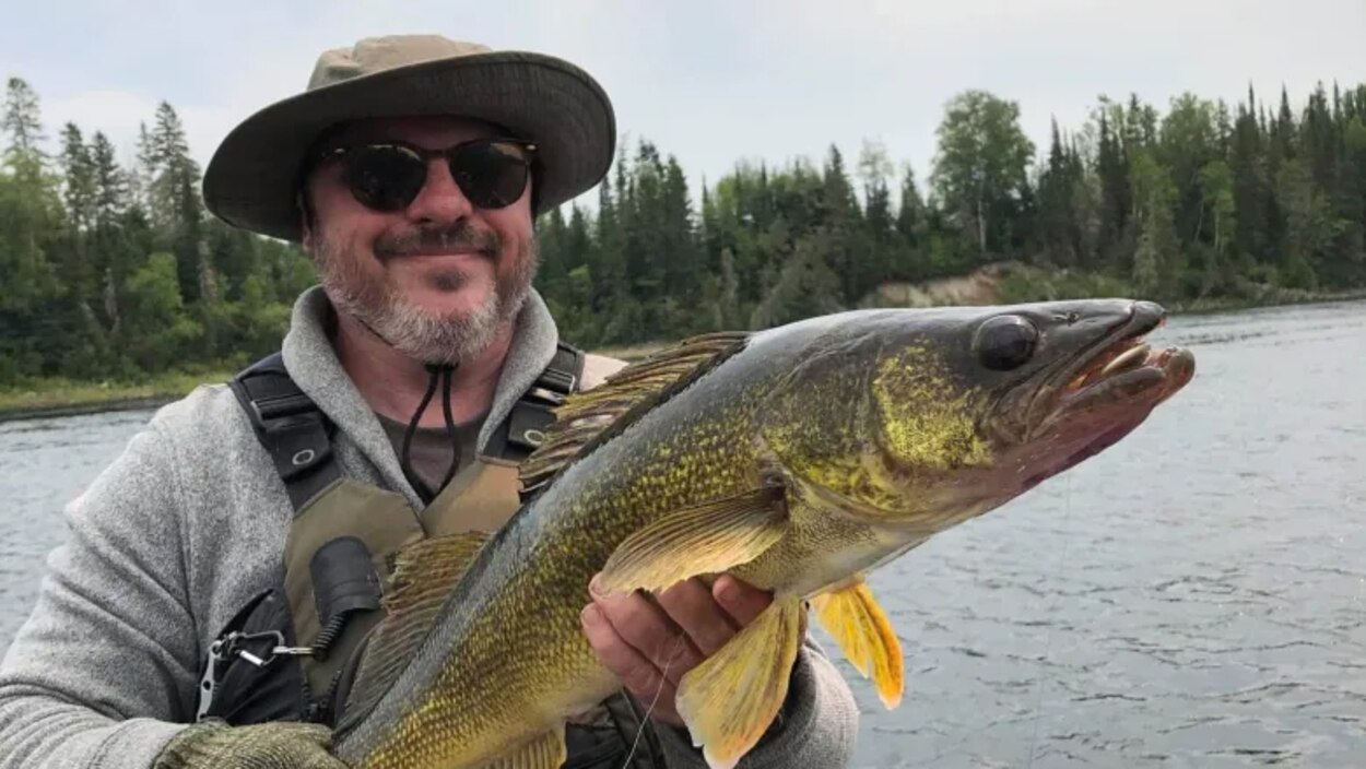 Lontario Va Réduire De Moitié Les Prises De Dorés Dans Le Lac Des Bois Radio Canada