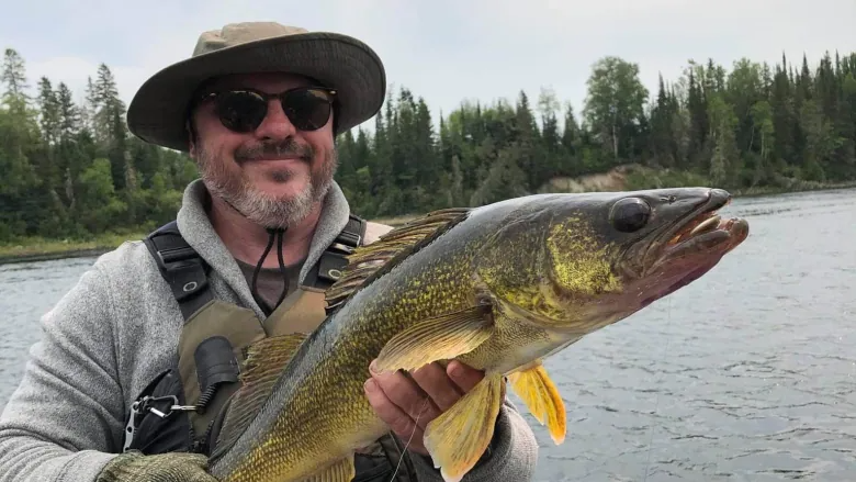Lontario Va Réduire De Moitié Les Prises De Dorés Dans Le Lac Des Bois Radio Canada