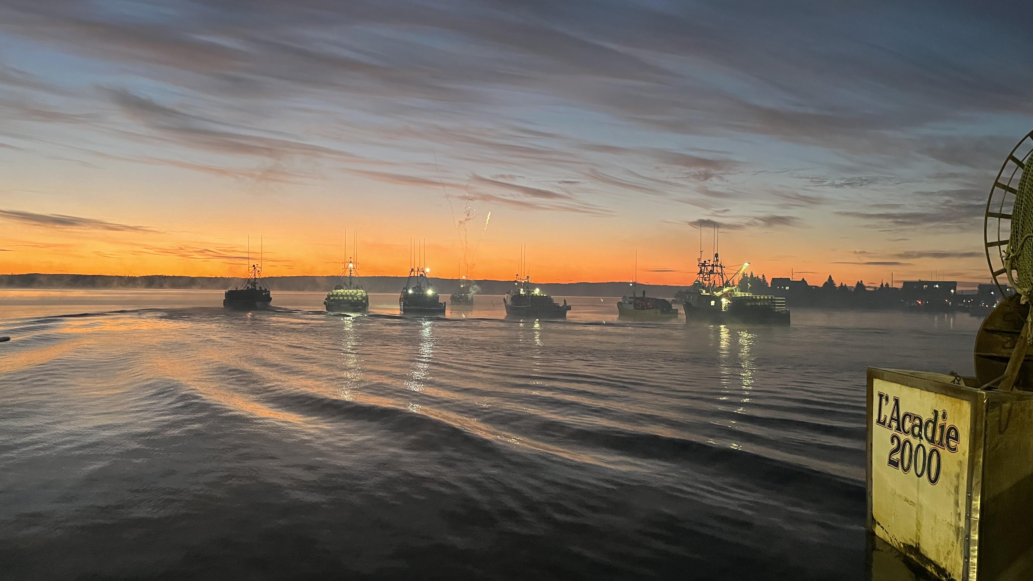 L'industrie mise gros sur le homard de Noël | OHdio | Radio-Canada