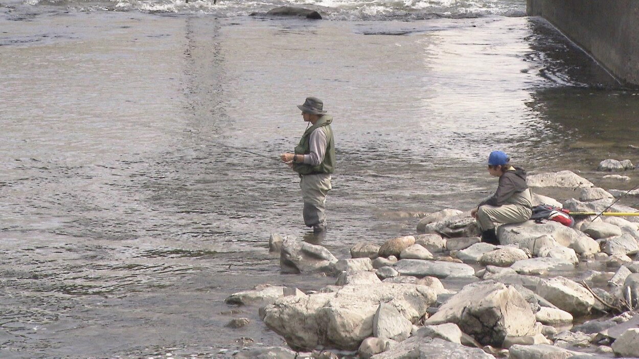 Pêche au saumon : la relève au rendez-vous sur la rivière Matane ...