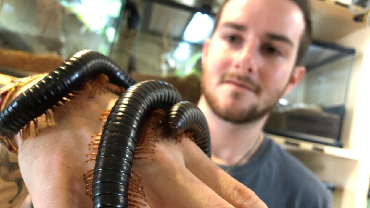 La pandémie ouvre des portes à la Bibitte Mobile | Radio-Canada