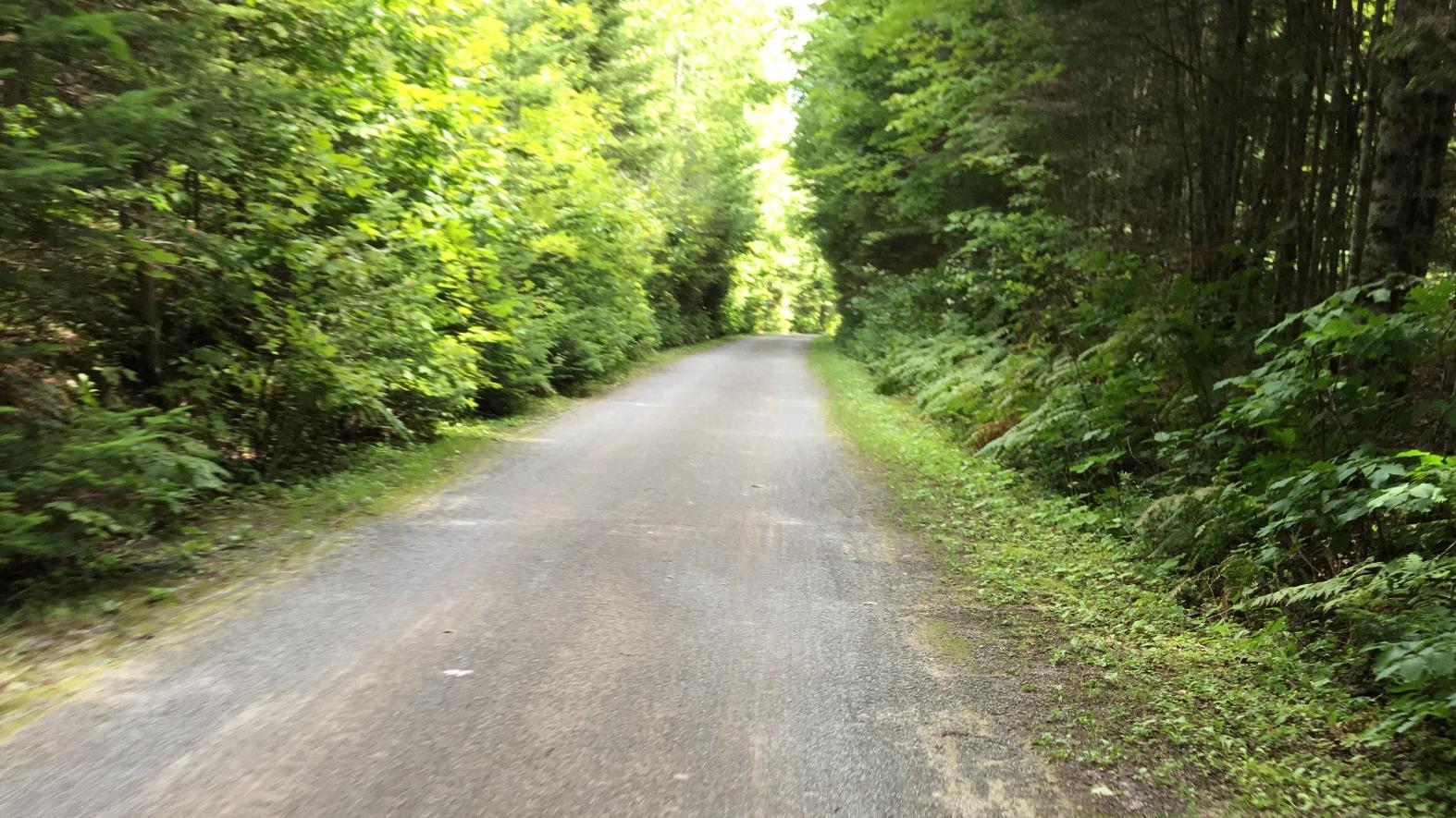 Une piste cyclable en forêt reliera La Doré et Saint-Félicien | OHdio ...
