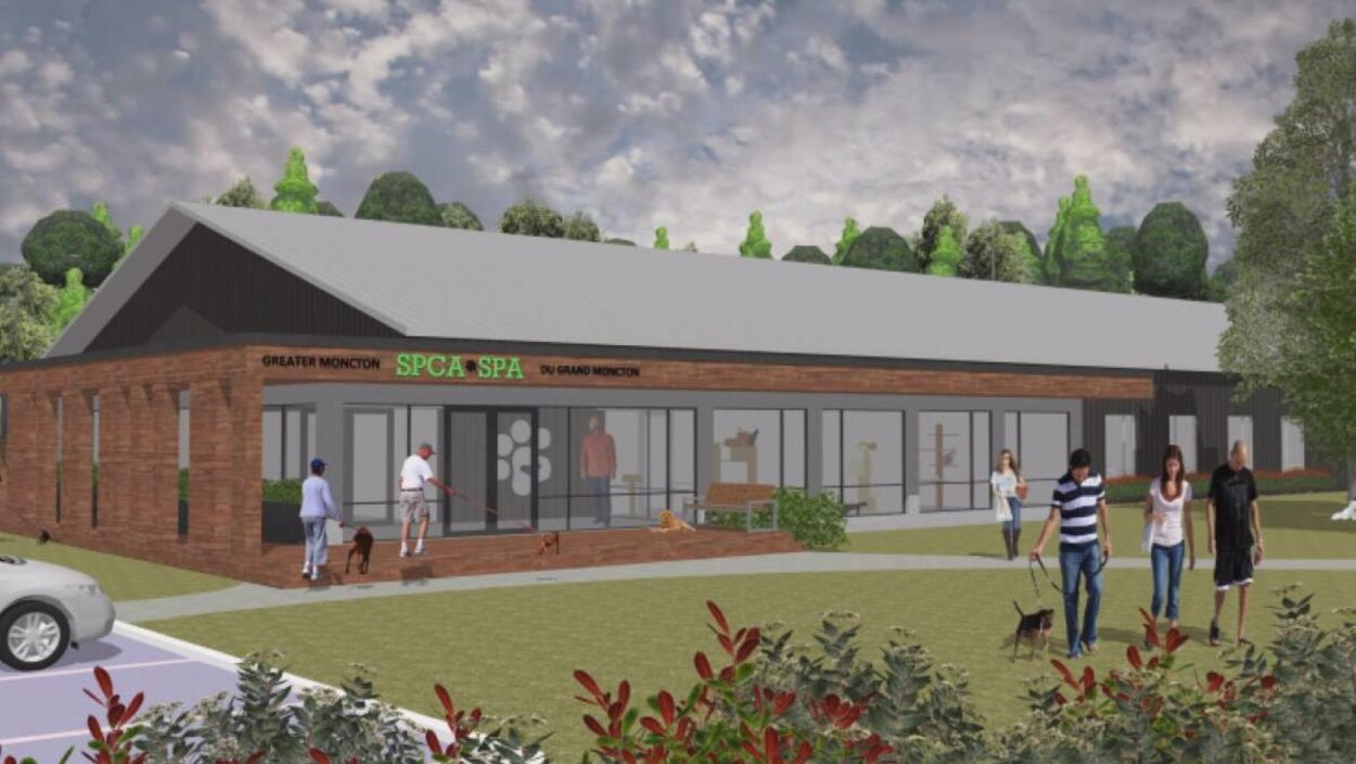 Nouveau refuge en vue pour la SPA de Moncton | Radio-Canada