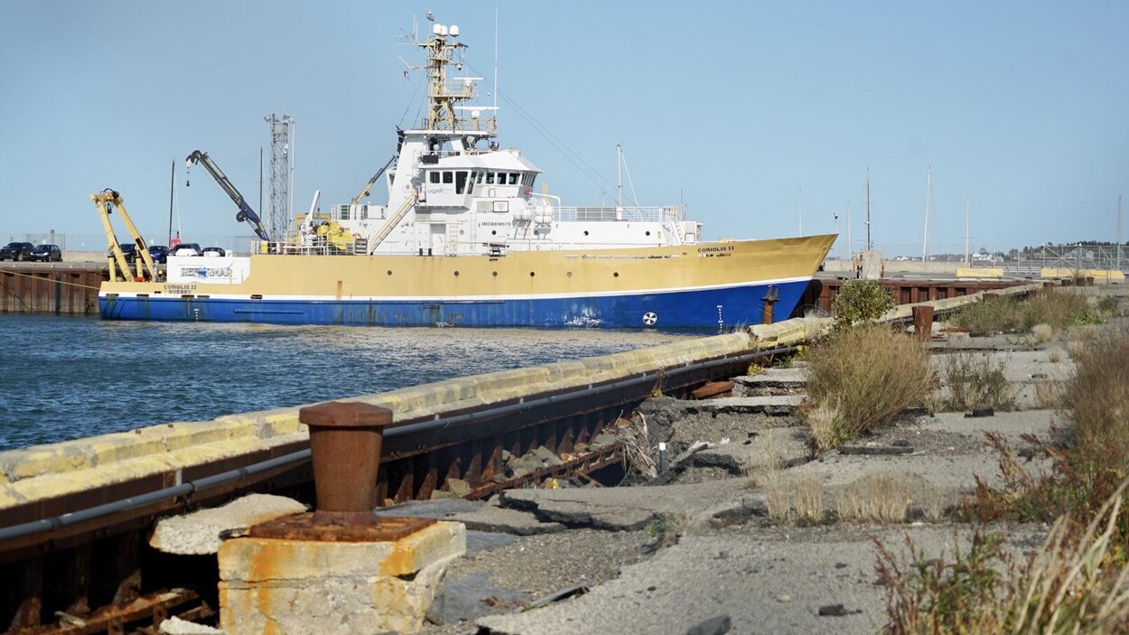 2021 a été bonne pour les ports de l’Est-du-Québec | Radio-Canada