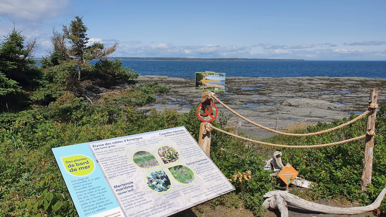 Des investissements pour restaurer les habitats côtiers au parc du Bic ...