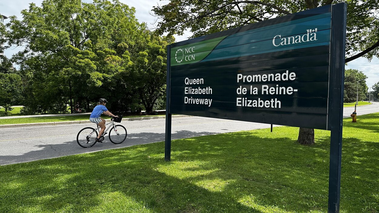 Promenade de la Reine-Elizabeth : Mark Sutcliffe défend les chiffres de ...