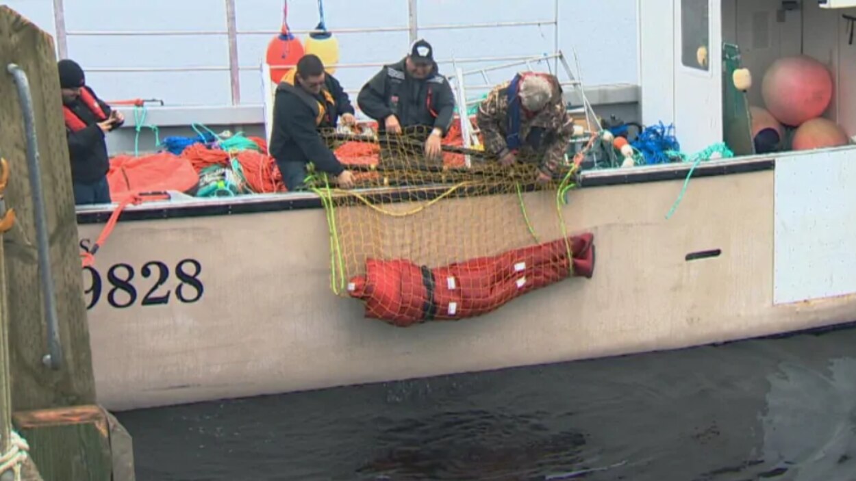 Survie en mer : combinaisons trouées et cordage pourri | Radio-Canada