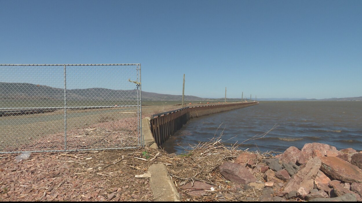 Un deuxième corps retrouvé dans la rivière Restigouche | Radio-Canada