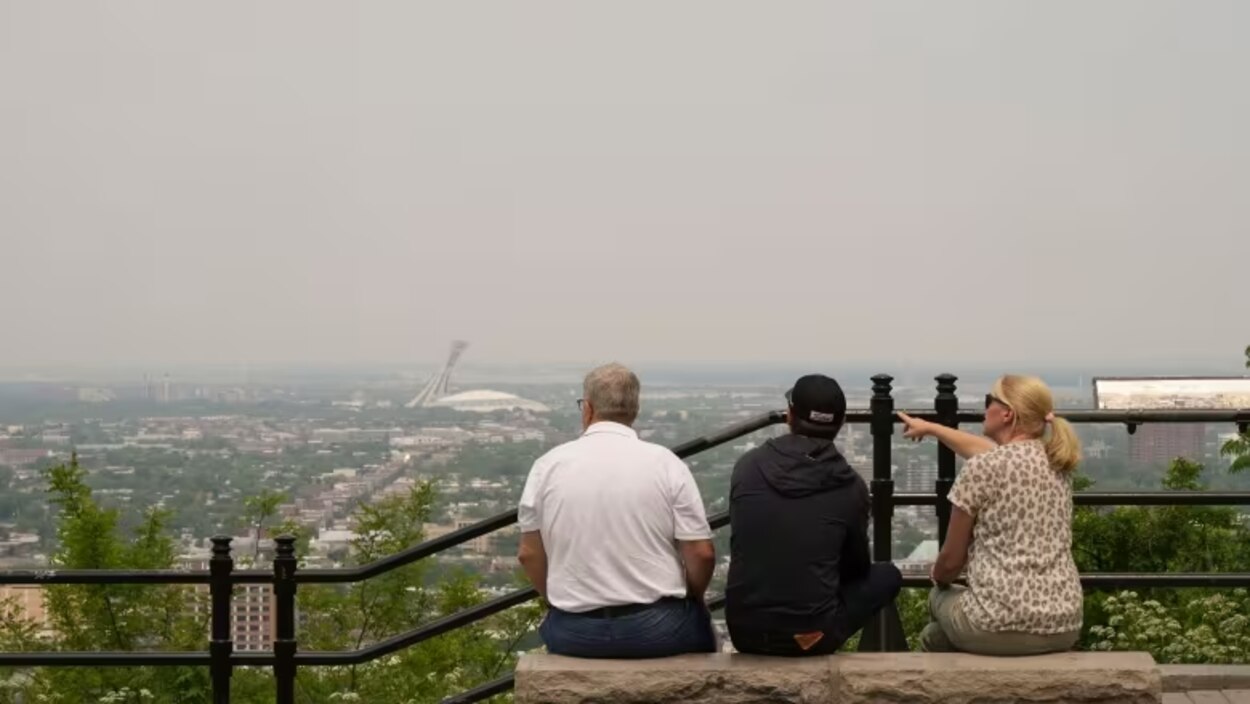 Massive forest fires are coating much of Quebec in haze and smoke ...