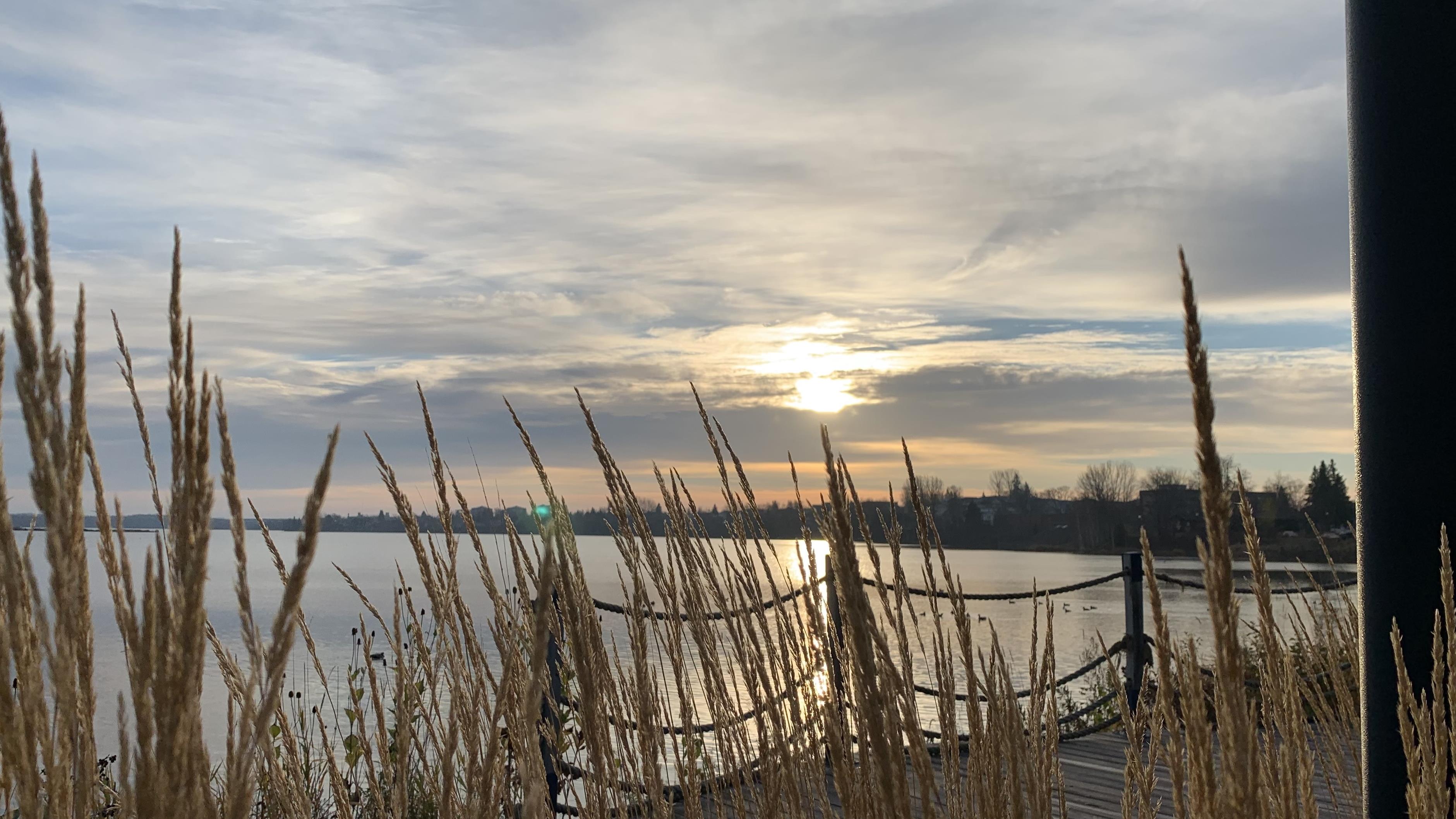 Les premiers jours de novembre marqués par le redoux automnal | OHdio ...