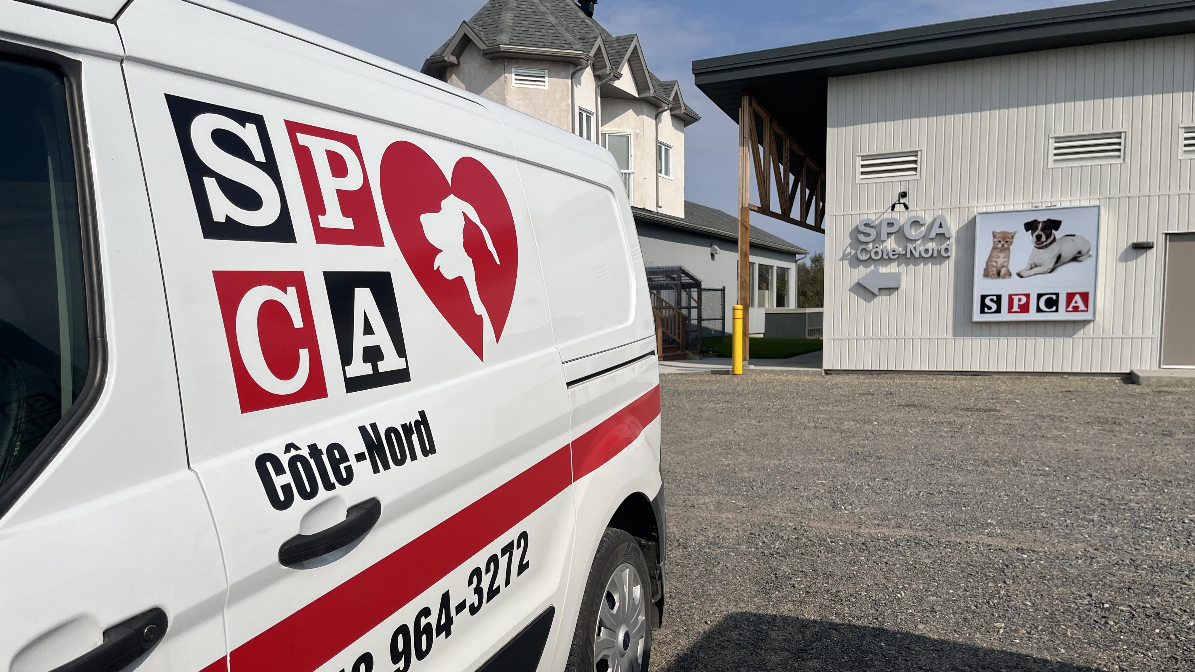 Bilan de la première année dans les locaux de la SPCA Côte-Nord | OHdio ...
