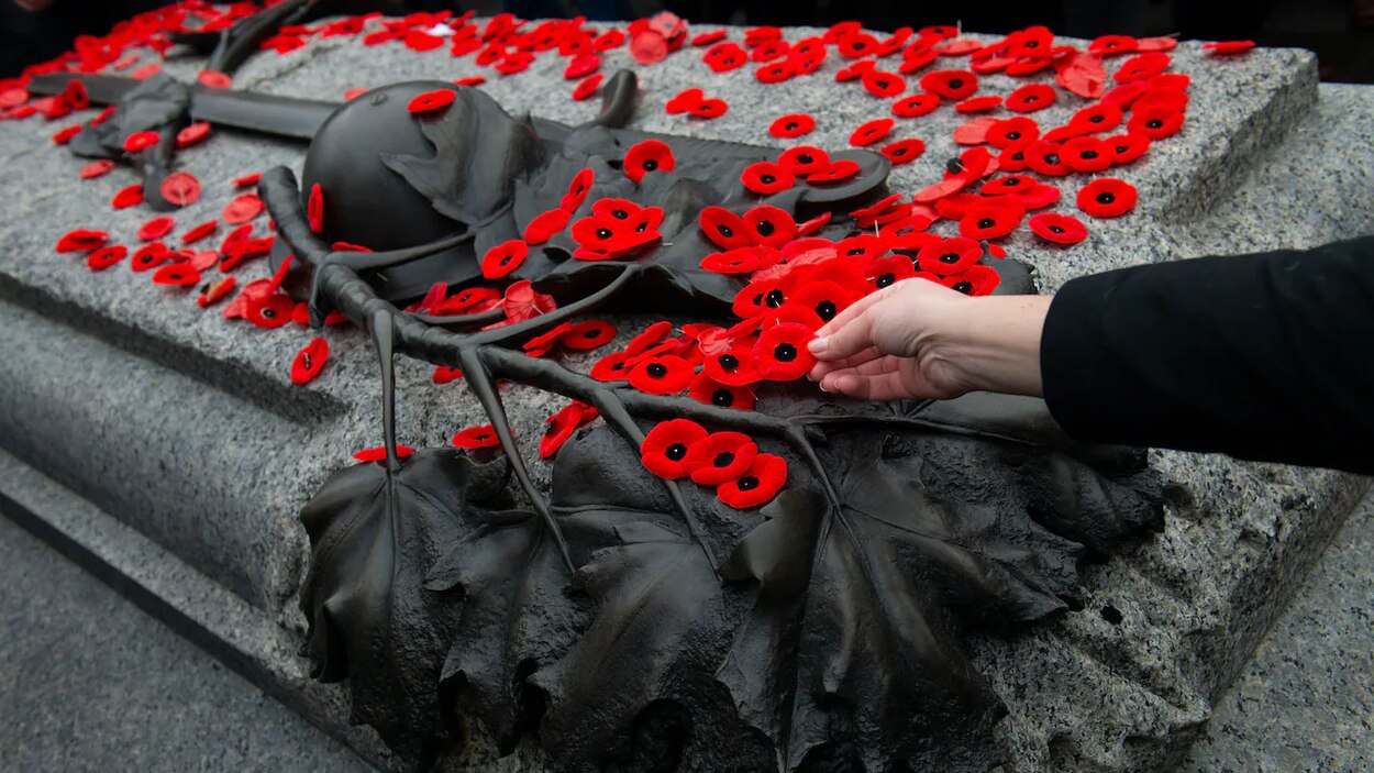 Ika-100 anibersaryo ng Remembrance Day poppy sa Canada simbolo ng pag ...