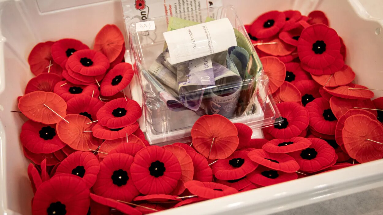 Bumili ka ba ng poppy online? Maaaring isa ito sa daan-daang produkto ...