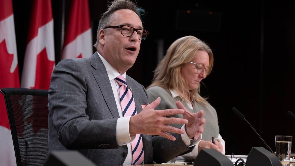 Inquiry into foreign interference to begin hearings in new year | Radio ...