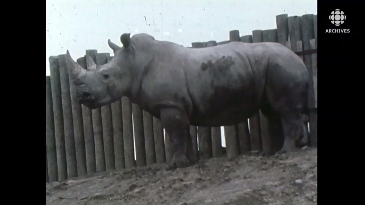 Quiz | Génies en ligne – politique - archives | La politique dans nos ...