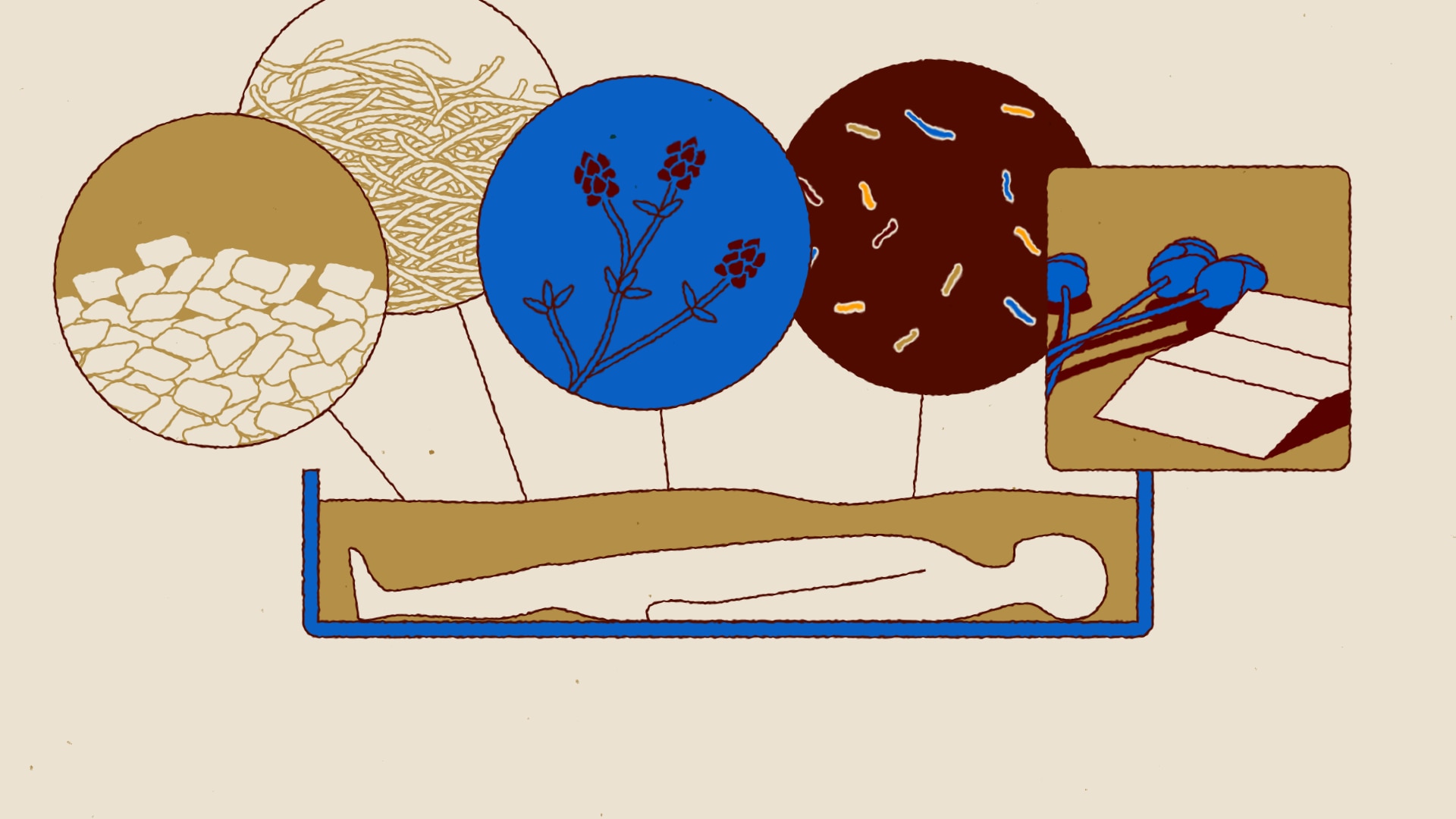 Le résumé d'Élisa Serret | OHdio | Radio-Canada