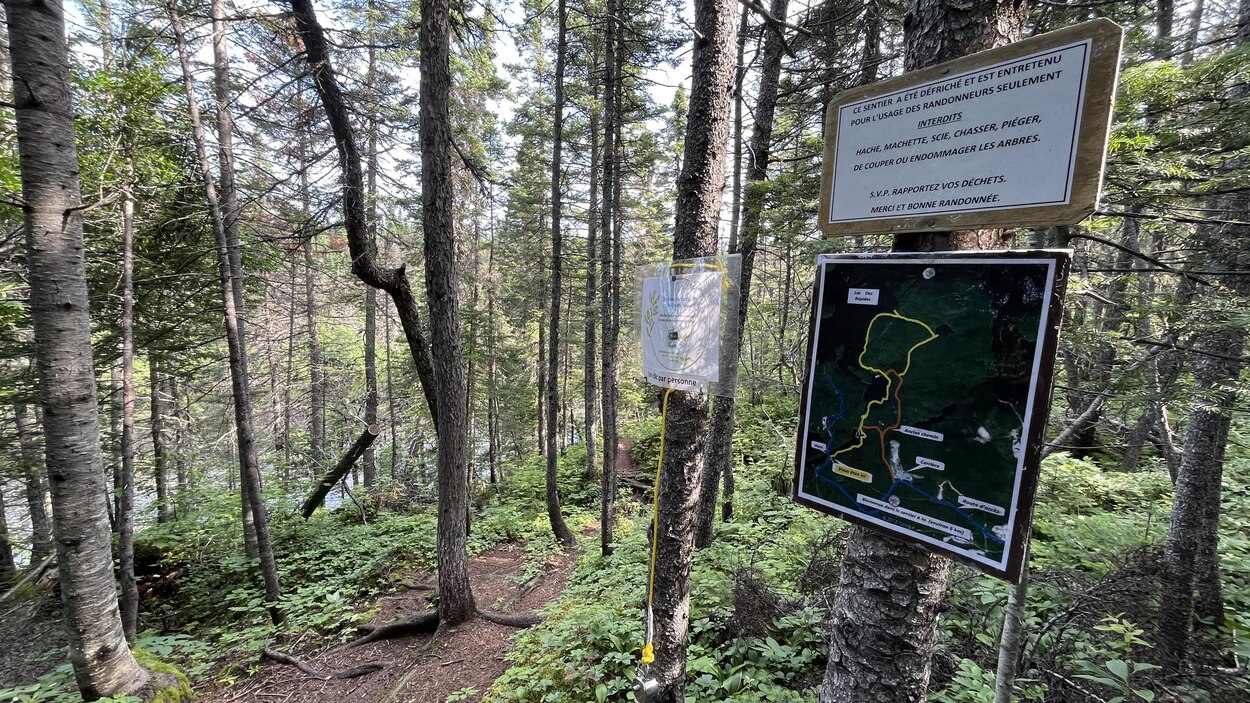 Un nouveau sentier balisé le long de la rivière des Rapides à Sept-Îles ...