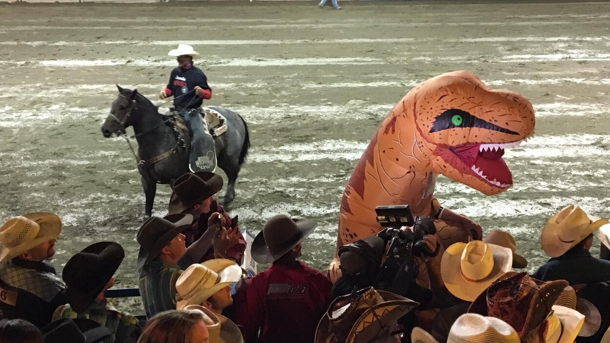 Un premier rodéo de nuit survolté à Saint-Tite | Radio-Canada