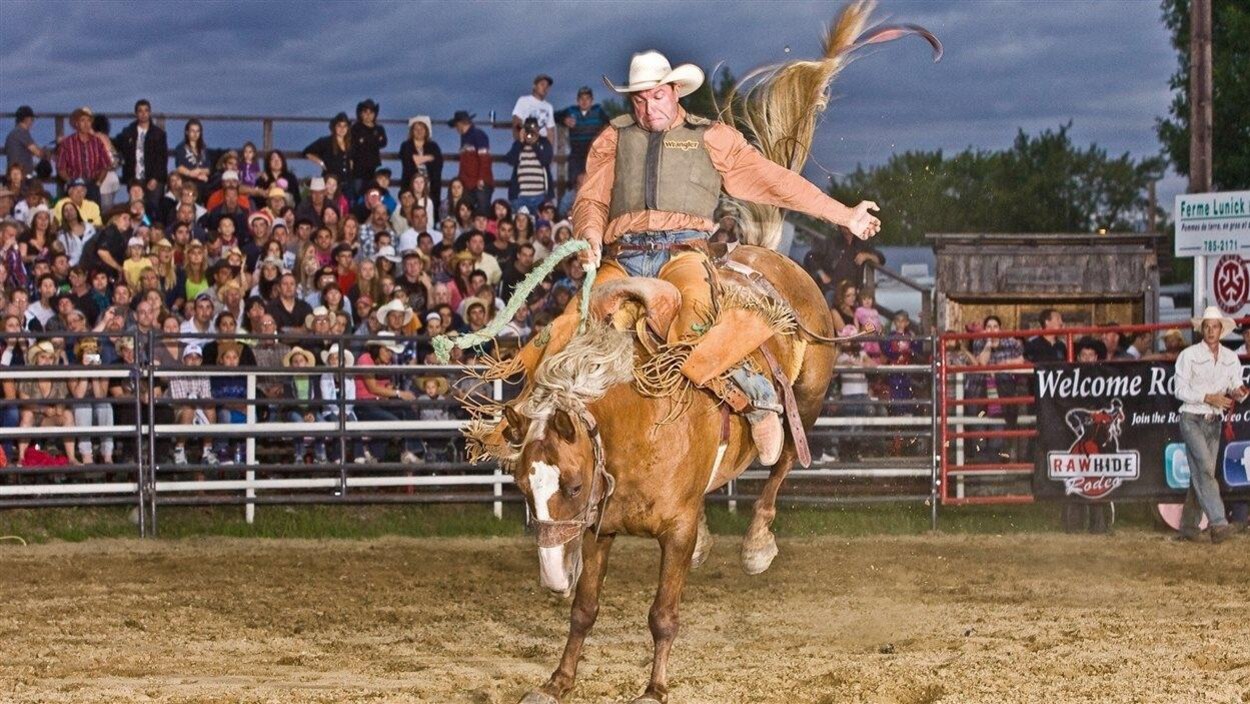 Rodéos au Québec : la SPA Canada s'en prend à la ministre Boulet ...