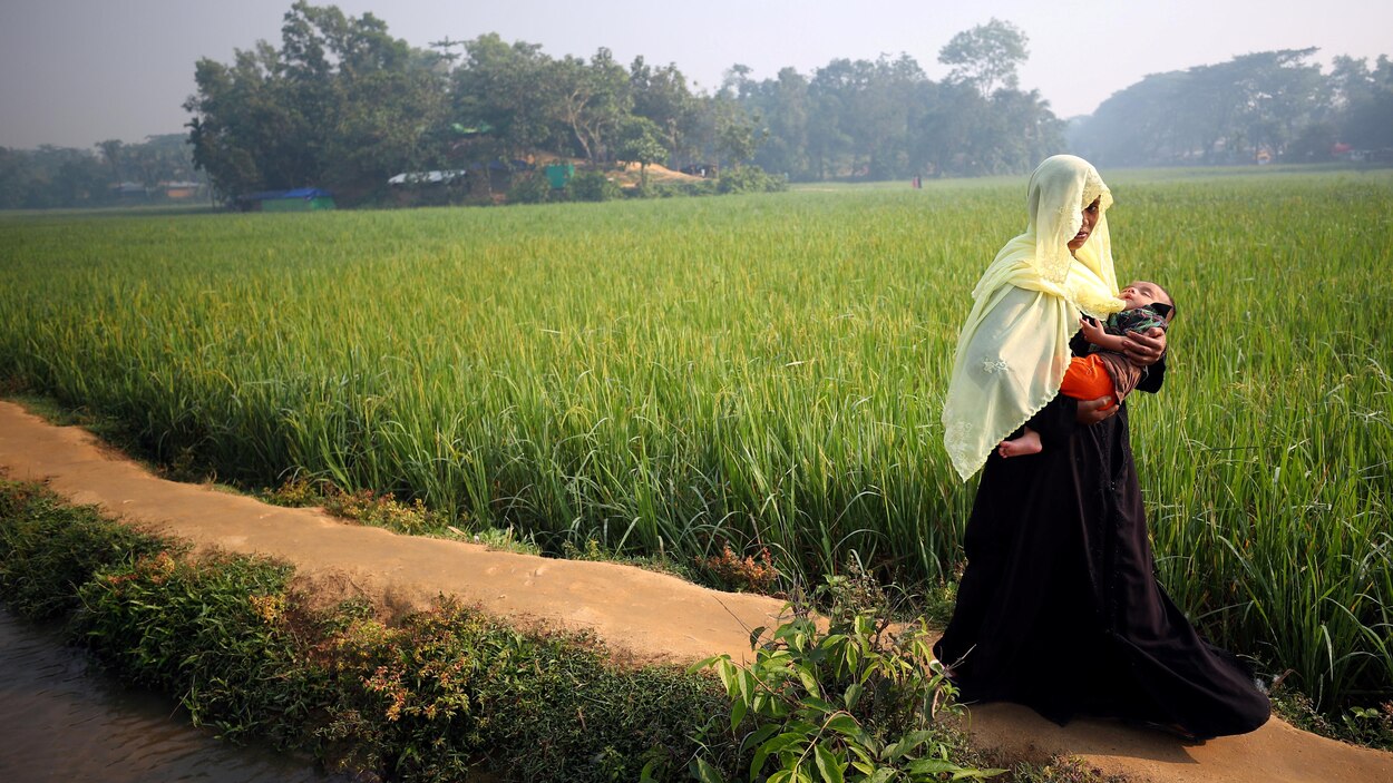 Entrevue avec Bob Rae | Info | Radio-Canada