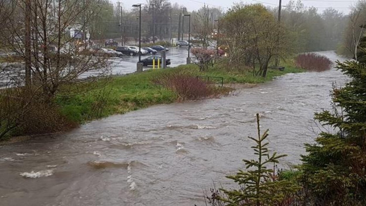 Pluies abondantes et risque d’inondation par endroits à Terre-Neuve ...