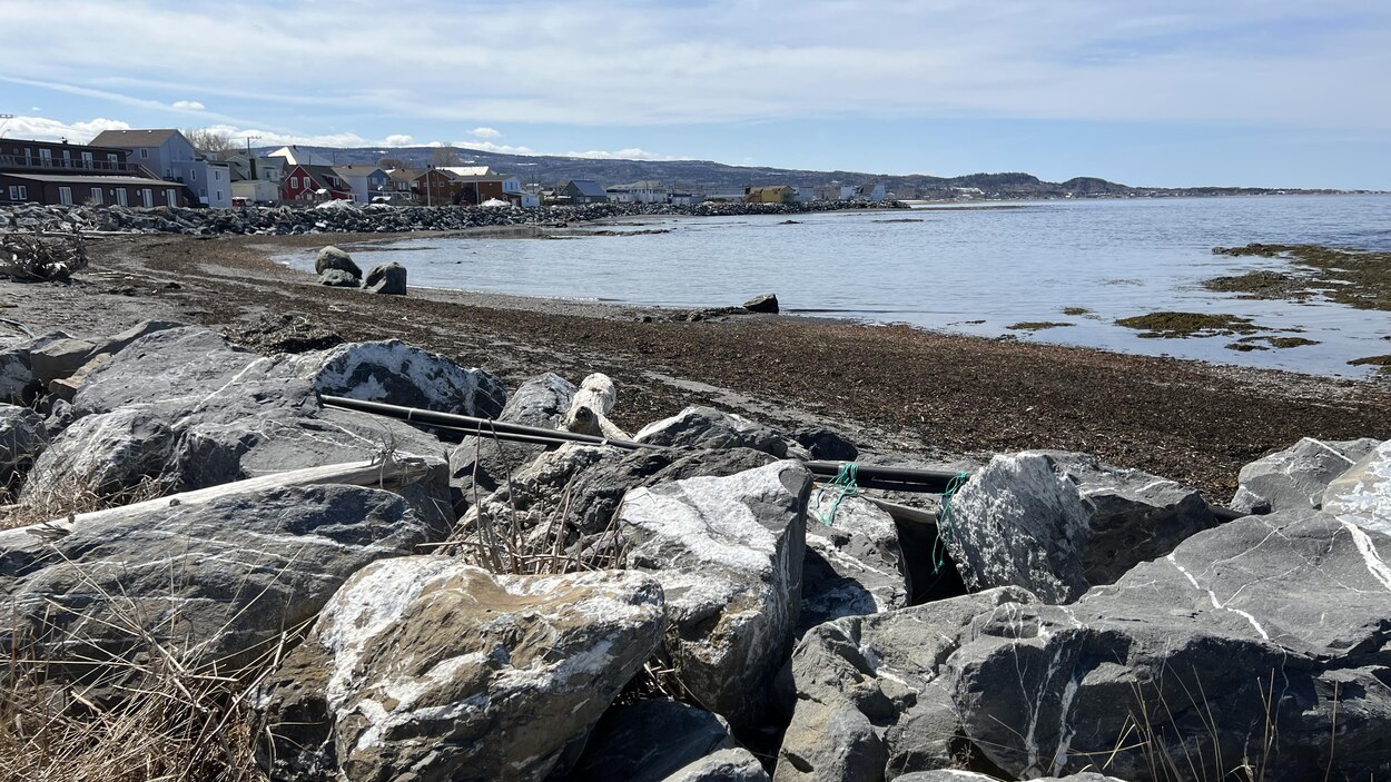 Fin des activités du CADDEC en Haute-Gaspésie | Radio-Canada
