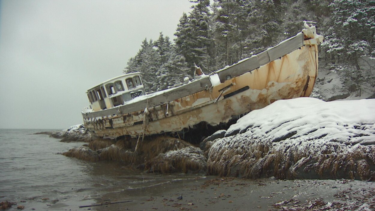 Les Propriétaires De Navires Abandonnés Risquent Maintenant Des Amendes