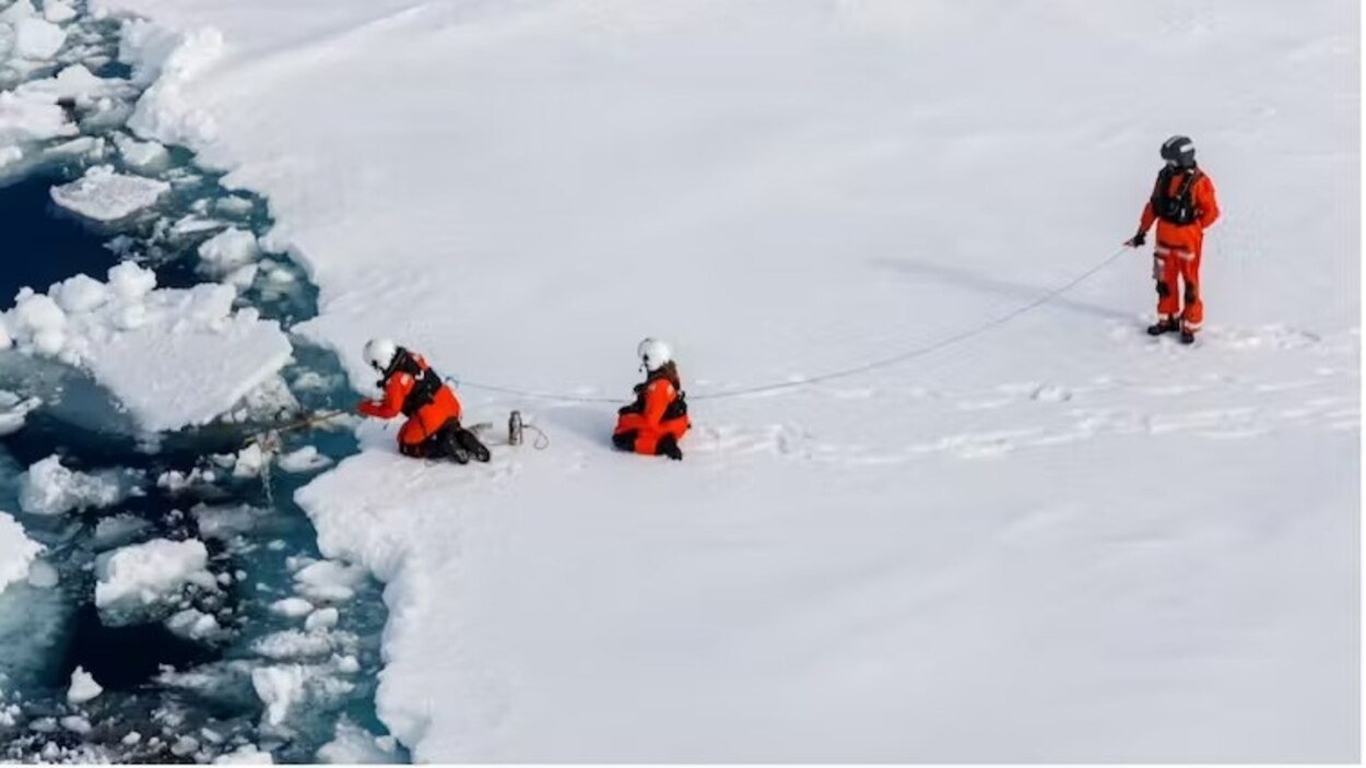 Découverte de quantités importantes de microplastiques dans les algues ...