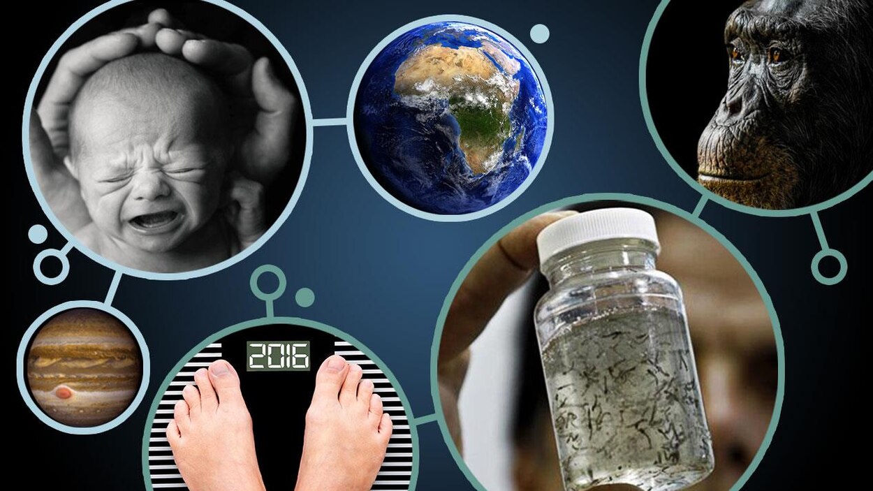 Rétrospective : 16 découvertes qui ont marqué la science en 2016 ...