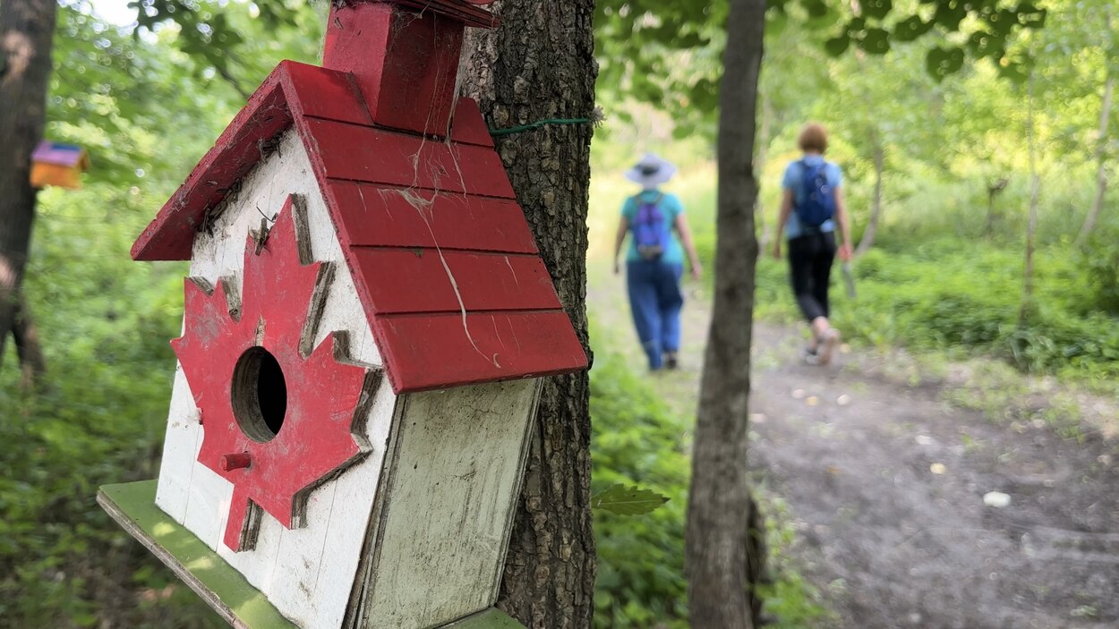 Une randonnée sur le Sentier de l’amitié à Saint-Adolphe attire des ...