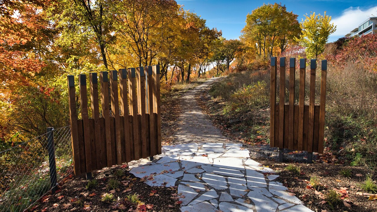 Le sentier des Grands-Domaines-de-Sillery accessible avant son ...