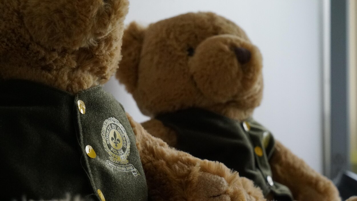 Québec adopte un nouveau modèle pour un meilleur suivi des signalements ...